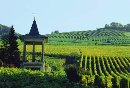 Hessische Bergstraße - Wines of Germany